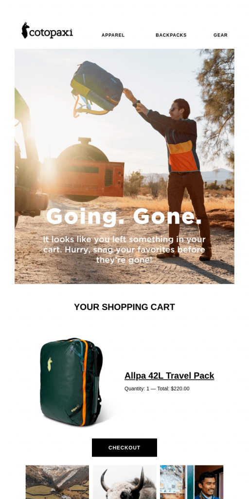 Cart Recovery Email Examples for Fashion and Apparel and Why They Work ...