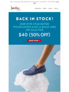 50+ Back in Stock Email Examples and Templates to Inspire Your Restock ...