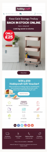 50+ Back in Stock Email Examples and Templates to Inspire Your Restock ...